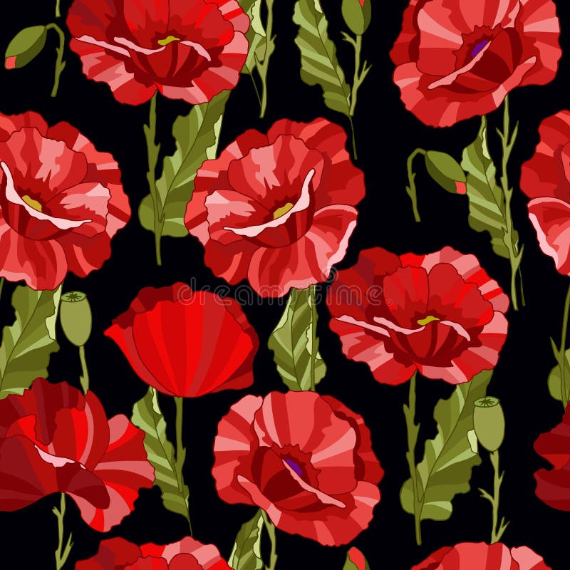 423 Poppies, Wallpaper and Fabric Ornament, Wrapping Paper, Background ...