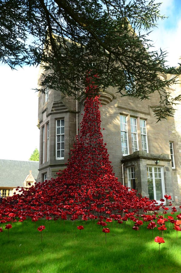 Poppies and Tower editorial photography. Image of glass - 83439507