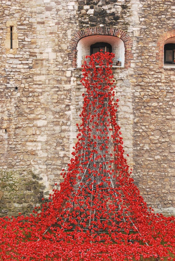 Poppies in Undulating Wave in the Tower of London Moat Stock Photo ...