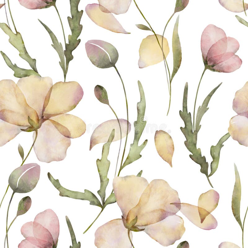 Poppies Watercolor Seamless Pattern On White Background Stock Image