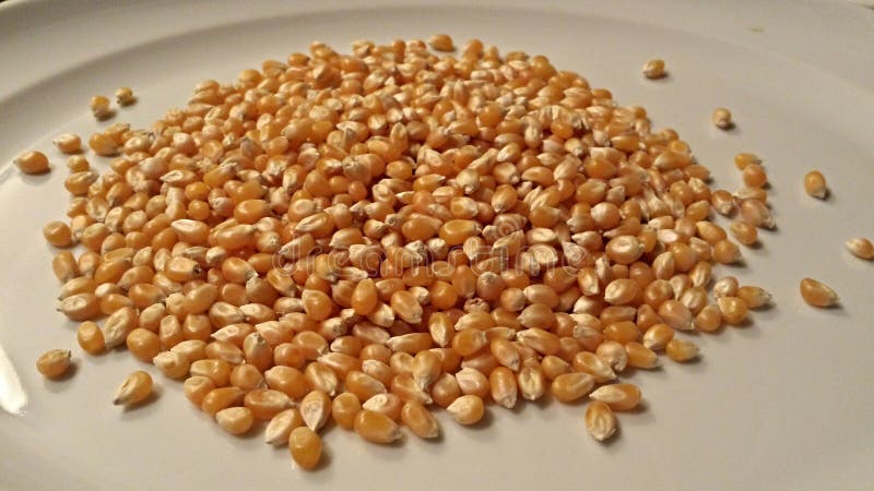 Popping corn stock photo. Image of popping, ready, popped - 47375640
