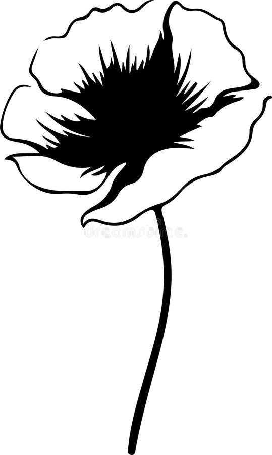Poppy Black Silhouette Generative Ai Stock Vector - Illustration of ...