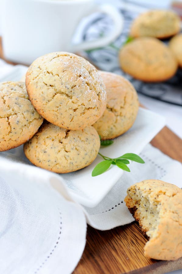 Poppy cookies stock photo. Image of powdered, eating - 18930034