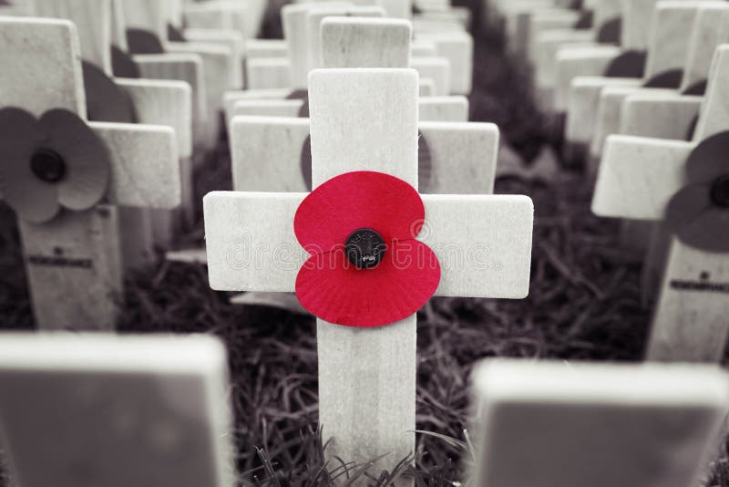Poppy Cross, Remembrance Day Display Stock Photo - Image of patriotism ...