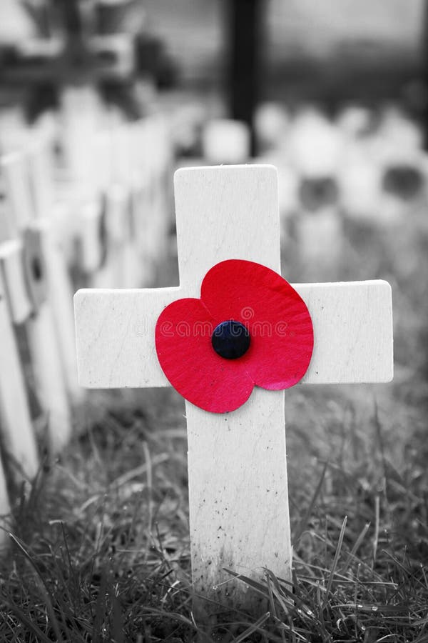 Poppy Cross, Remembrance Day Display Stock Photo - Image of memory ...