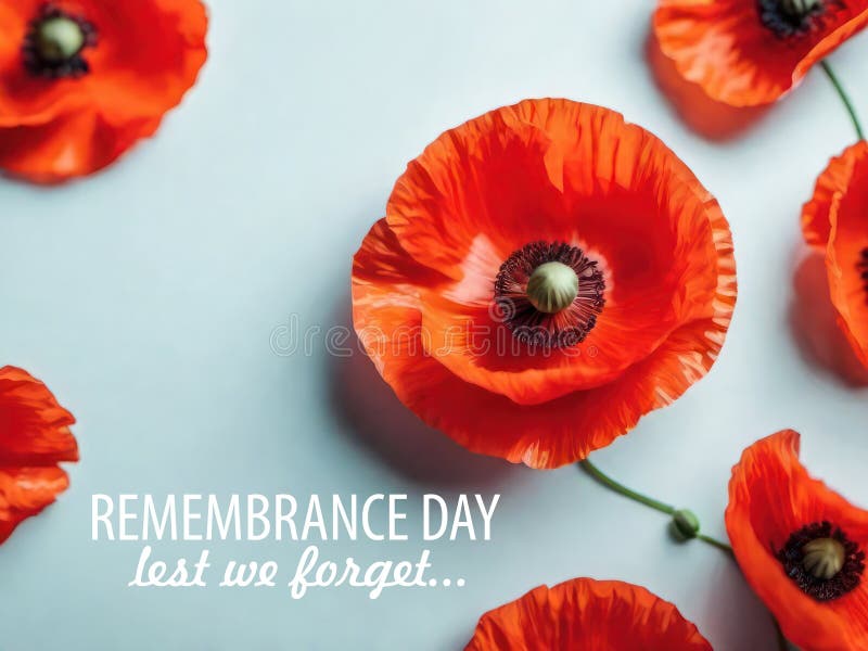 Poppy Day Concept. Remembrance Day - Lest we Forget Stock Image - Image ...