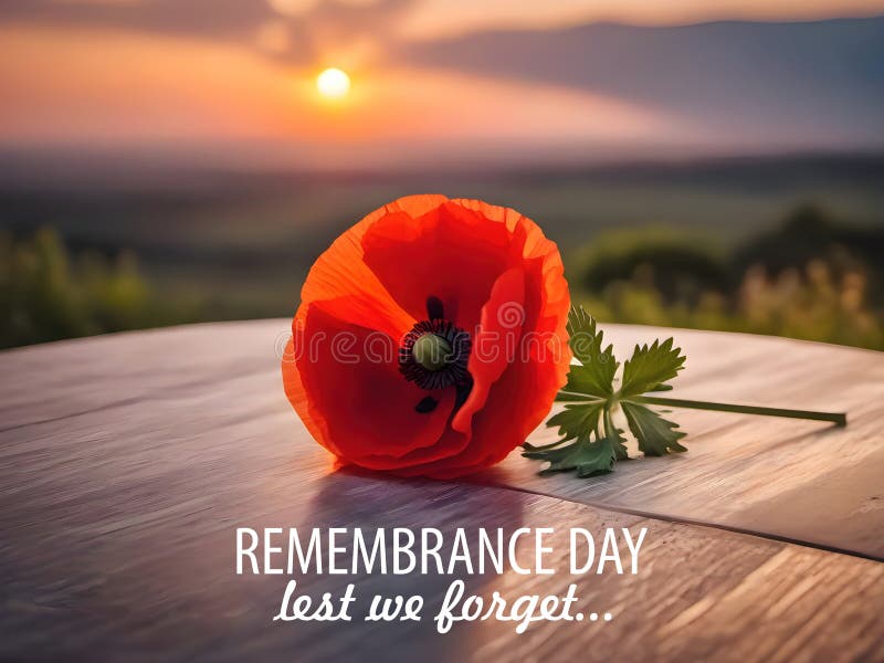 Poppy Day Concept. Remembrance Day - Lest we Forget Stock Photo - Image ...