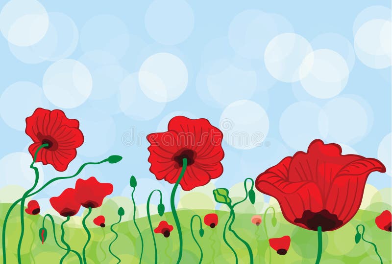 Poppy Field stock illustration. Illustration of blooms - 11244718