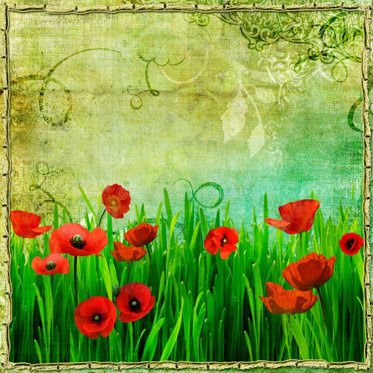 Poppy Field Background Stock Illustrations – 17,940 Poppy Field ...
