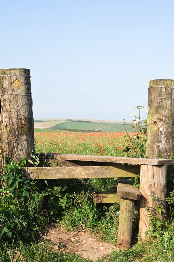 Poppy Field and Country Stile Stock Photo - Image of orientation ...