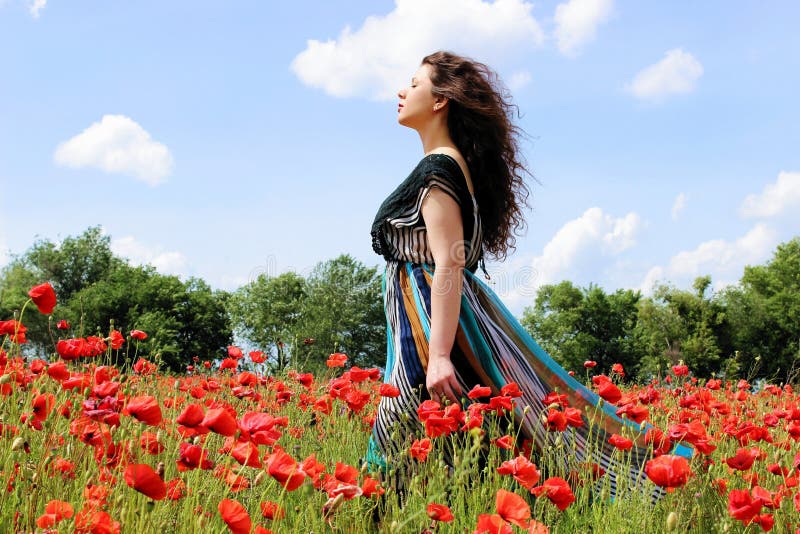 Through the poppy field stock image. Image of field, nature - 73086577
