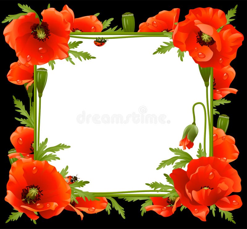 Red Poppy Floral Border Frame Stock Illustrations – 3,691 Red Poppy ...