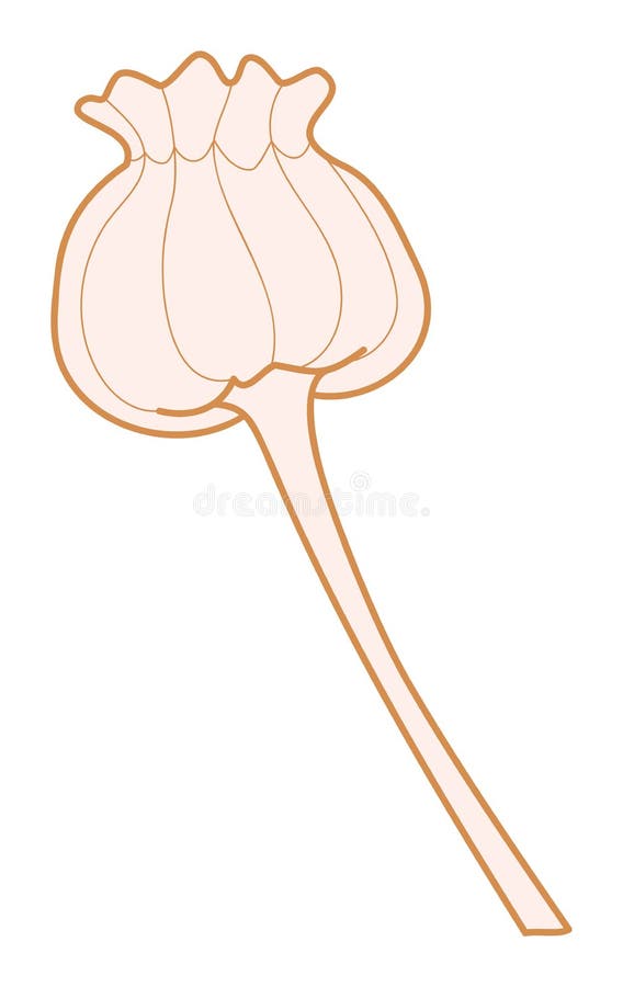 Poppy Flower Silhouette for Design. Flower Head Vector Icon Stock ...