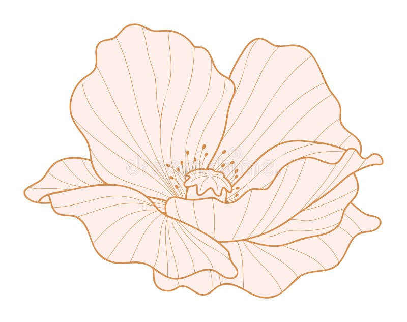 Poppy Flower Silhouette for Design. Flower Head Vector Icon Stock ...