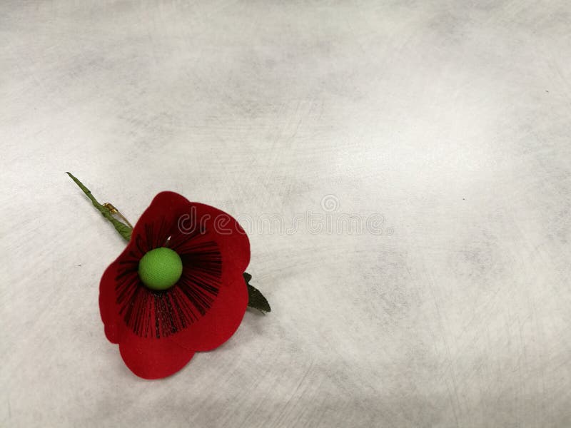 Poppy Flower on table stock photo. Image of flower, solder - 85456082