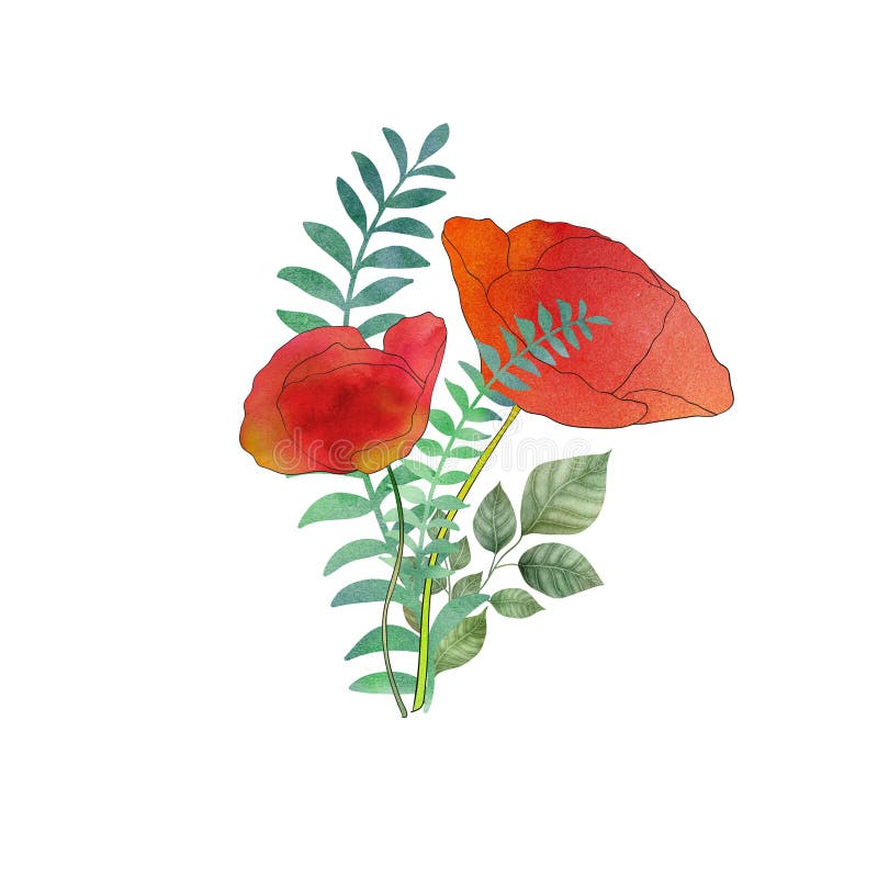 Poppy Flowers Fern Leaves Bouquet Isolated On White Watercolor