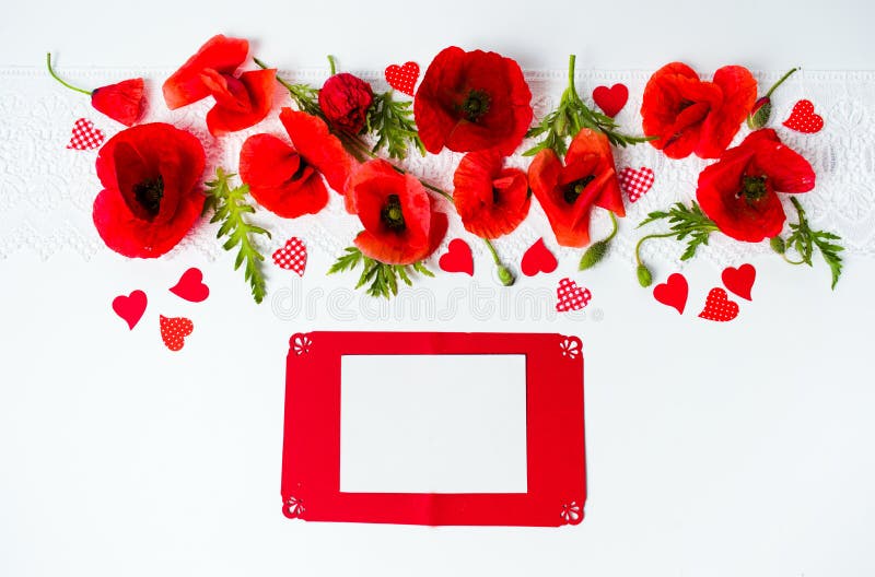Poppy Flowers and Red Wooden Frame on White Stock Photo - Image of ...