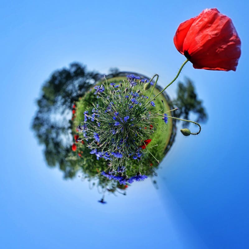 111 Globe Poppy Playtime Stock Photos - Free & Royalty-Free Stock ...