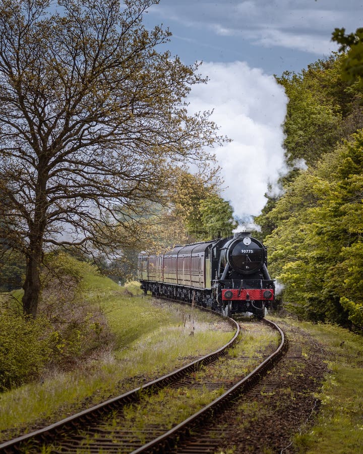 The Poppy Line Classic Steam Train Passing through Forest Trees ...
