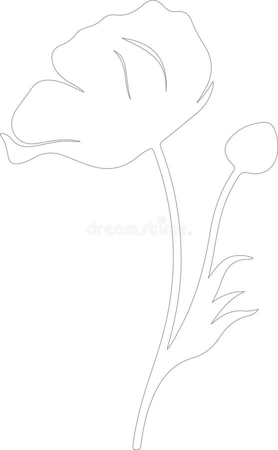 Poppy Outline Silhouette Generative Ai Stock Vector - Illustration of ...