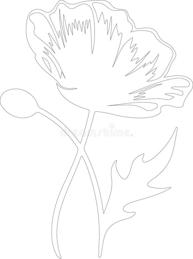 Poppy Outline Silhouette Generative Ai Stock Vector - Illustration of ...