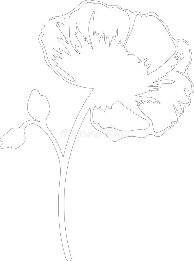 Poppy Outline Silhouette Generative Ai Stock Vector - Illustration of ...