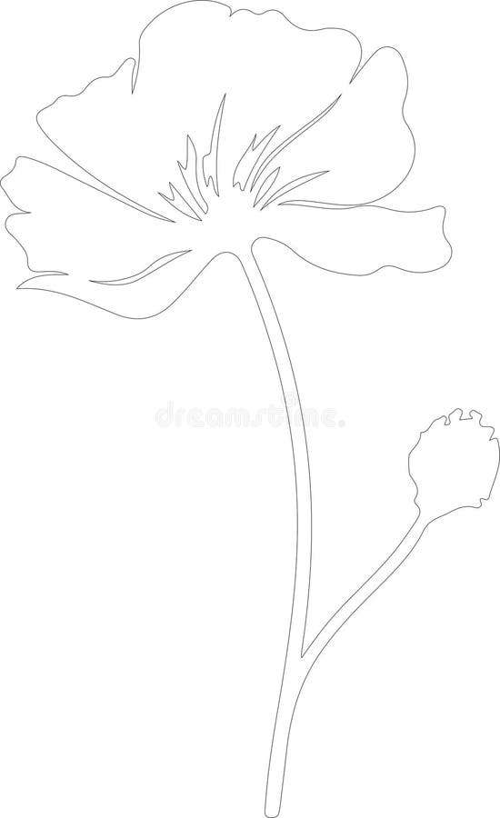 Poppy Outline Silhouette Generative Ai Stock Vector - Illustration of ...