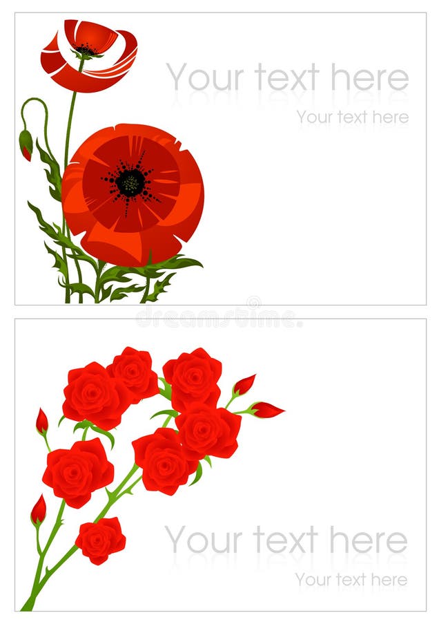 Poppy and Rose Greeting Cards Stock Vector - Illustration of beauty ...
