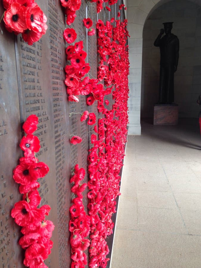 Poppy s stock photo. Image of wall, memorial, poppy, poppies - 64048608