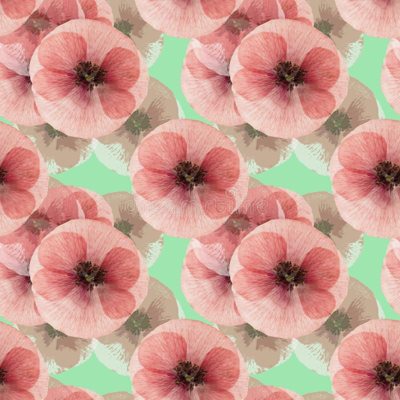 Poppy Seamless Pattern Texture Pressed Dry Flowers Stock Illustrations ...