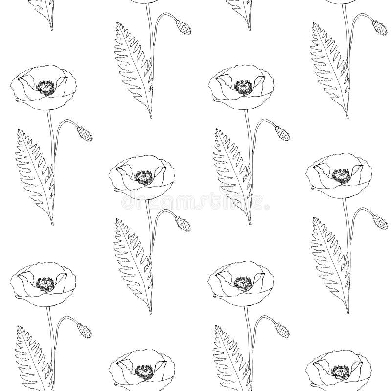 Poppy seamless texture stock vector. Illustration of botanic - 62059929