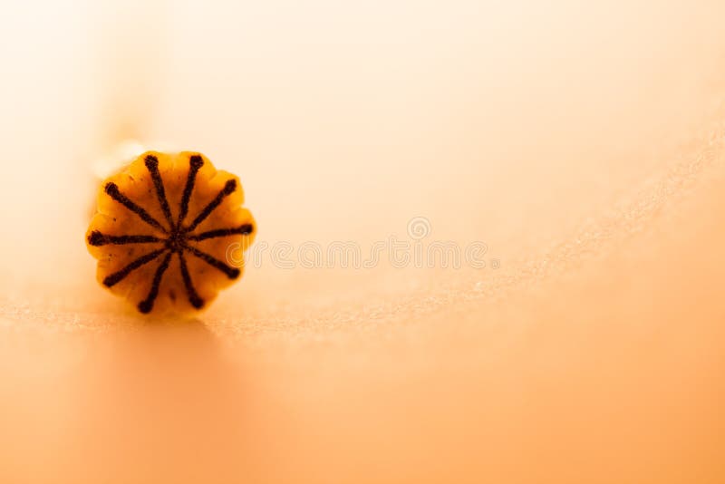Poppy Seed with Beige Background Stock Photo - Image of poppy, opium ...