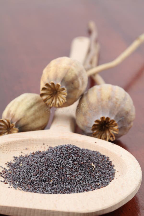 Poppy seeds stock image. Image of group, large, poppyseed - 15397619