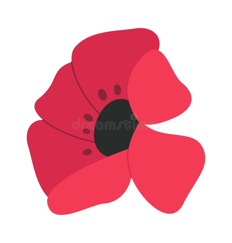 Poppy Wildflower Flat Icon Blossom Stock Vector - Illustration of ...
