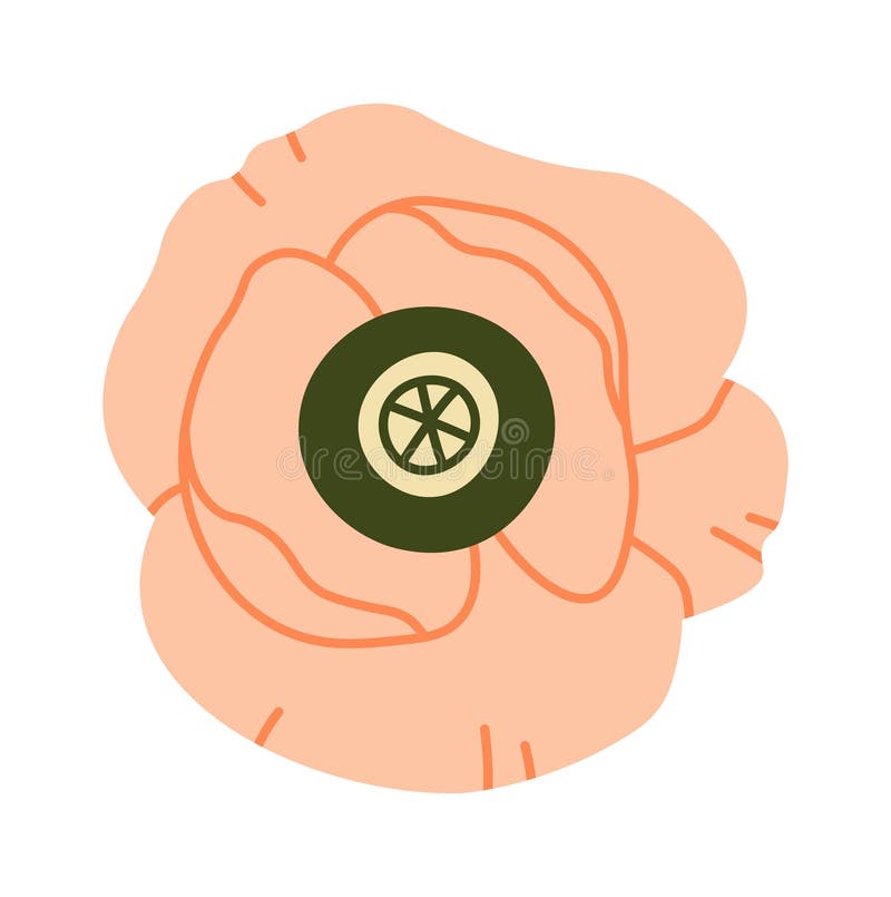 Poppy Wildflowers Head stock vector. Illustration of blossom - 273903124