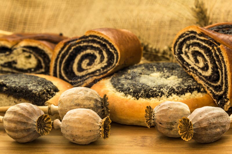 Poppys Heads in the Foreground and Various Poppys Bakery Behin Stock ...