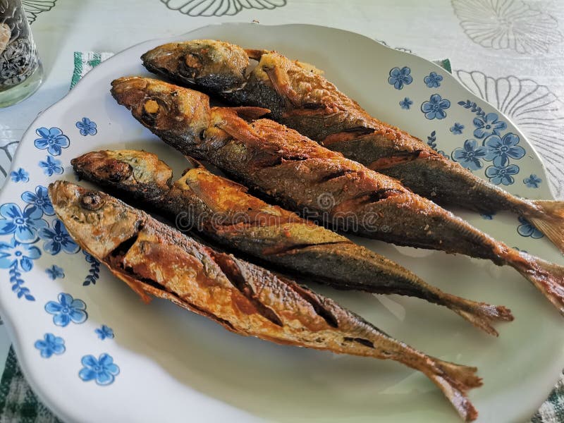 The Basung Fish, or Known As Two Dozen Fish or Itching Fish Fresh from ...