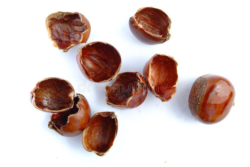 Popular Chinese Snack Stir Fried Chestnuts Stock Image - Image of ...