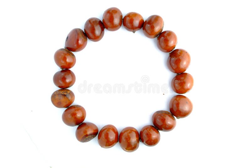 Popular Chinese Snack Stir Fried Chestnuts Stock Image - Image of ...