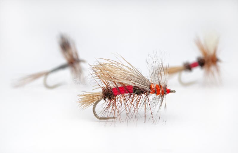 Popular dry flies stock photo. Image of flyfishing, royal - 12603352