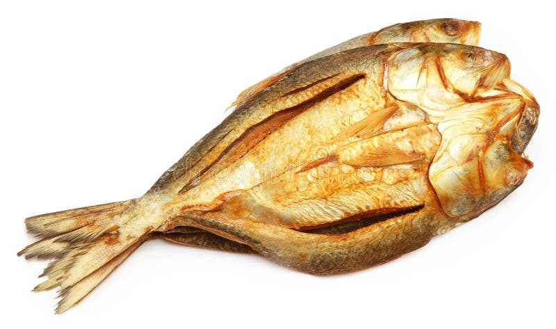 Popular Ilish Fish with Eggs of Southeast Asia Stock Image - Image of ...