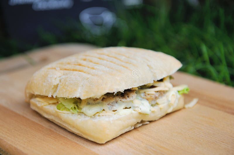 Popular Italian Panini Sandwich with Ham Stock Photo - Image of ...