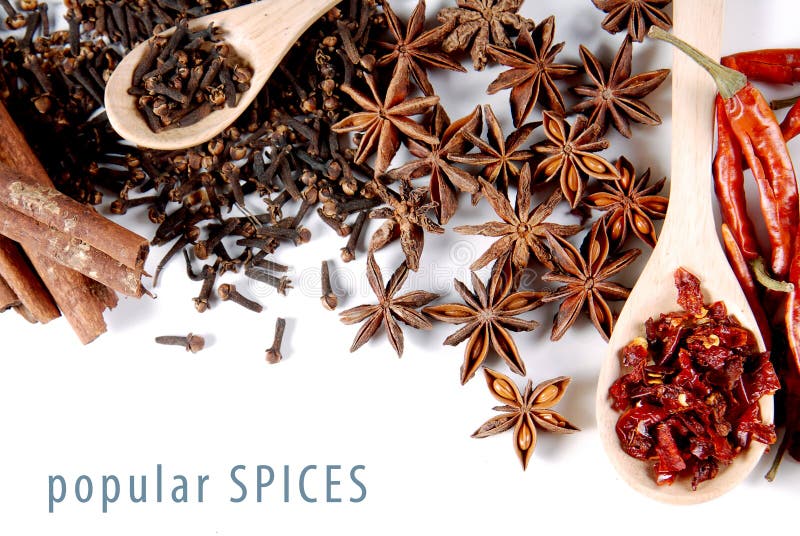 Popular spices stock photo. Image of food, variety, composition - 28978334