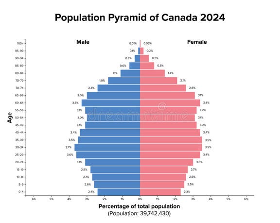 Population Pyramid of Canada 2024, Age Structure Diagram Stock Vector ...