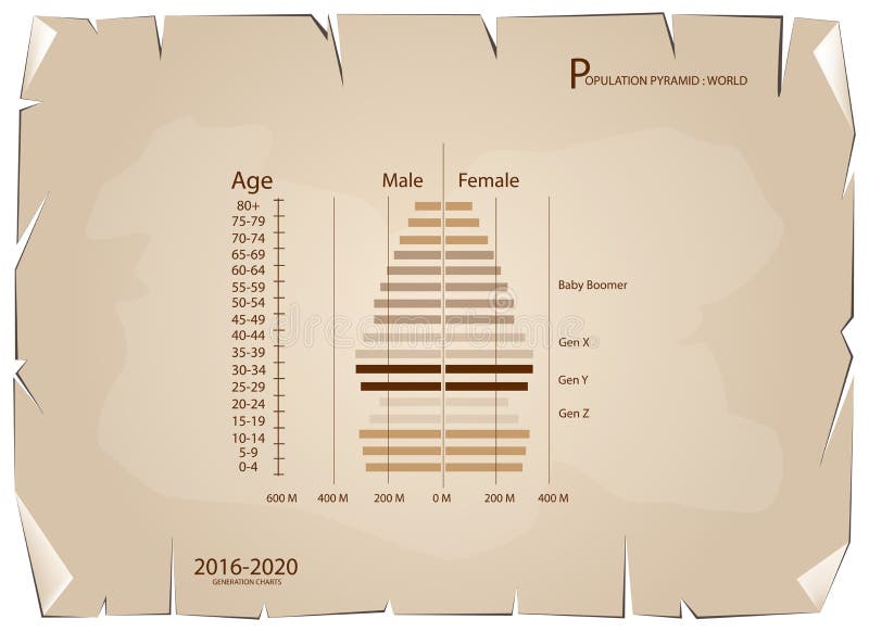 2016-2020 Population Pyramids Graphs with 4 Generation Stock Vector ...