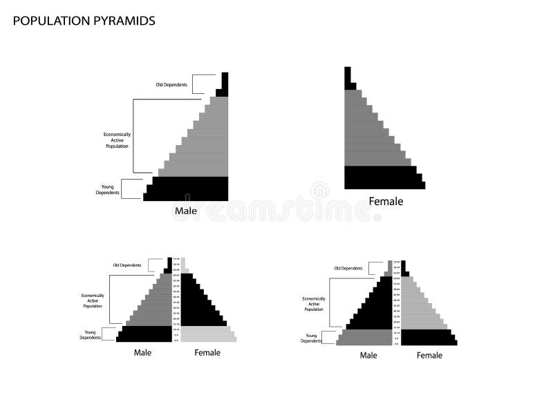 The Population Pyramids Graphs with 4 Generation Stock Vector ...