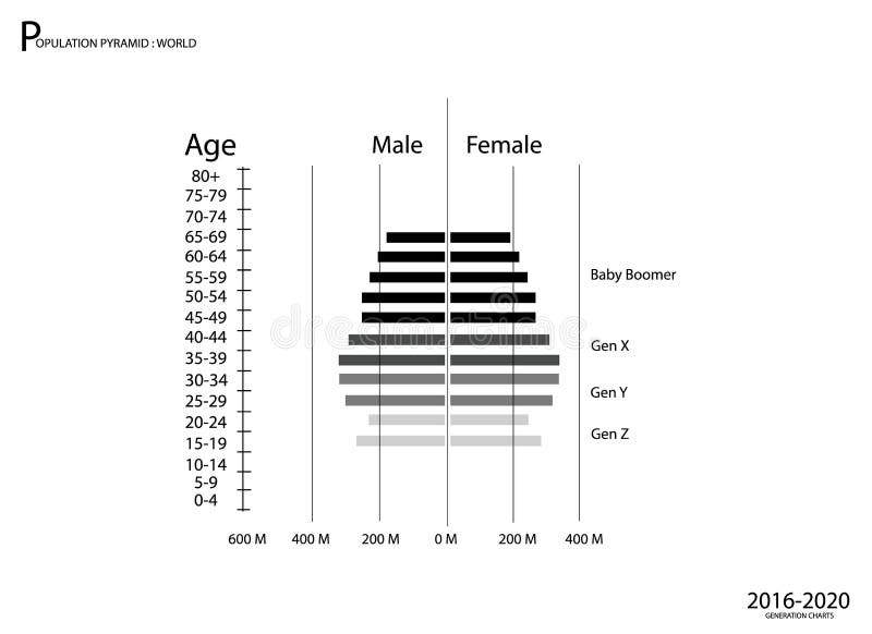 2016-2020 Population Pyramids Graphs with 4 Generation Stock Vector ...