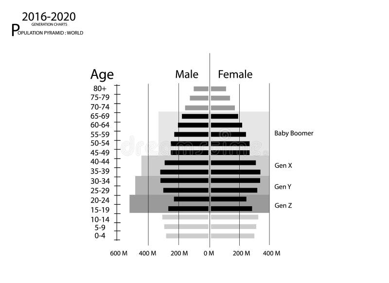 Gen Chart Stock Illustrations – 146 Gen Chart Stock Illustrations ...