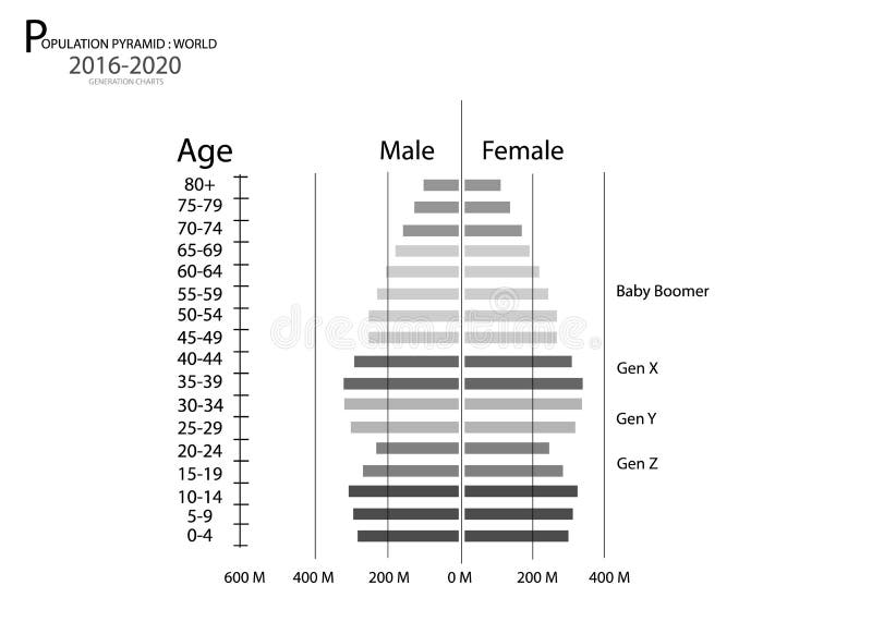 2016-2020 Population Pyramids Graphs with 4 Generation Stock Vector ...
