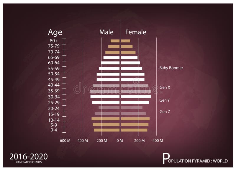 2016-2020 Population Pyramids Graphs with 4 Generation Stock Vector ...